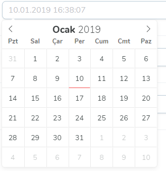 Turkish Date Time Field - Nova Packages