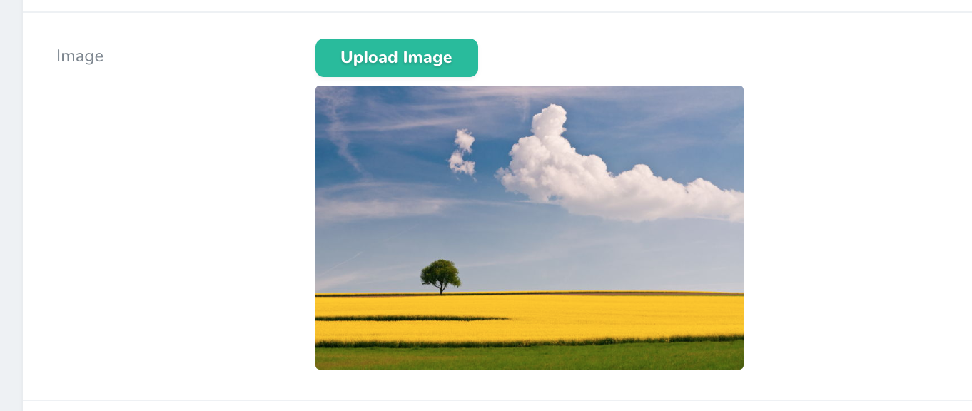 UploadCare Image Field - Nova Packages