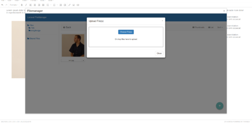 TinyMCE text editor with images - Nova Packages